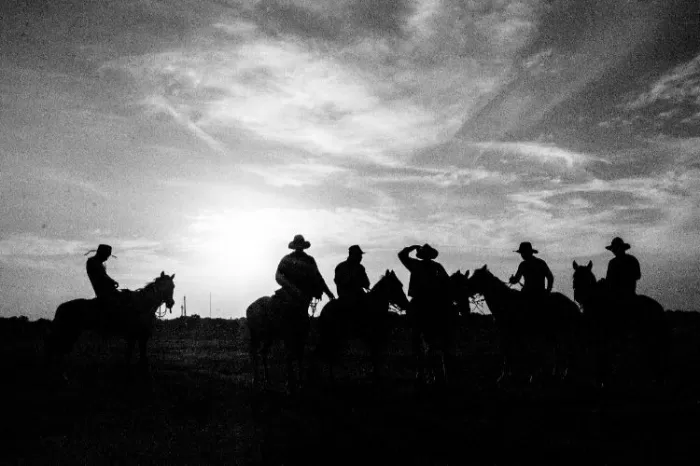 Cultura, tradición, identidad llanera, coleo, fauna, flora y paisaje ...
