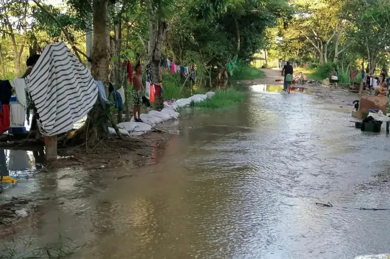 Corte Constitucional de Colombia reconoce factores climáticos como motivo para desplazamiento ...